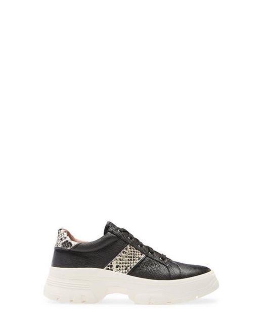 Linea Paolo Roffe Platform Sneaker in Black | Lyst