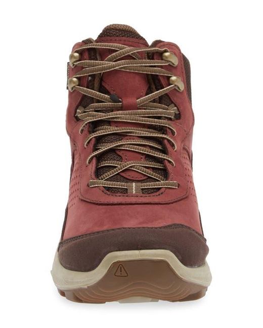 Keen Terradora Explorer Waterproof Hiking Boot in Brown | Lyst