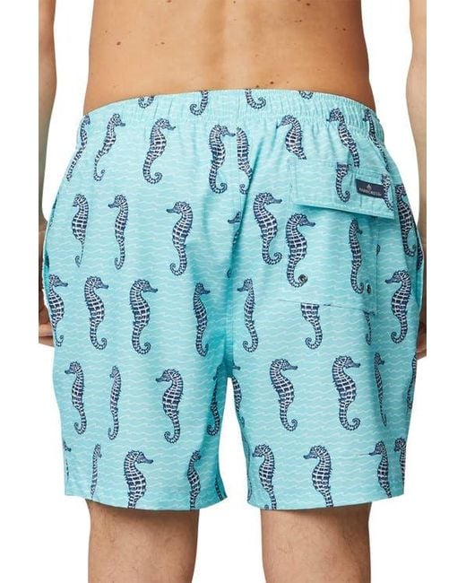 Rainforest Curled Tails Seahorse Stretch Swim Trunks in Blue for Men | Lyst
