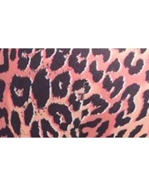 SECRET LACE Ultra Luxe 2-Pack Lace Bras in Pink | Lyst