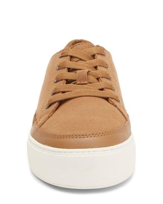 UGG Zilo Platform Sneaker in Brown | Lyst