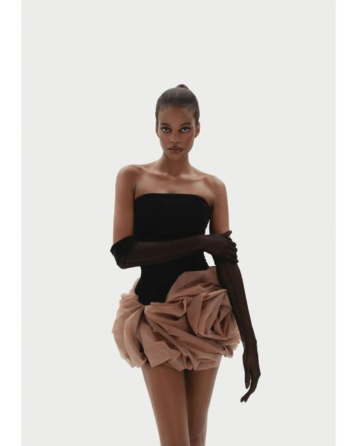 La Musa Roman Rose Dress | Lyst