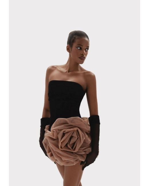 La Musa Roman Rose Dress | Lyst