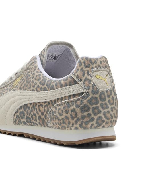 PUMA Arizona Leo Sneakers in Gray | Lyst