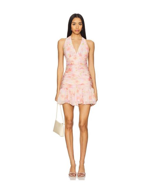 Bardot Mave Halter Mini Dress | Lyst