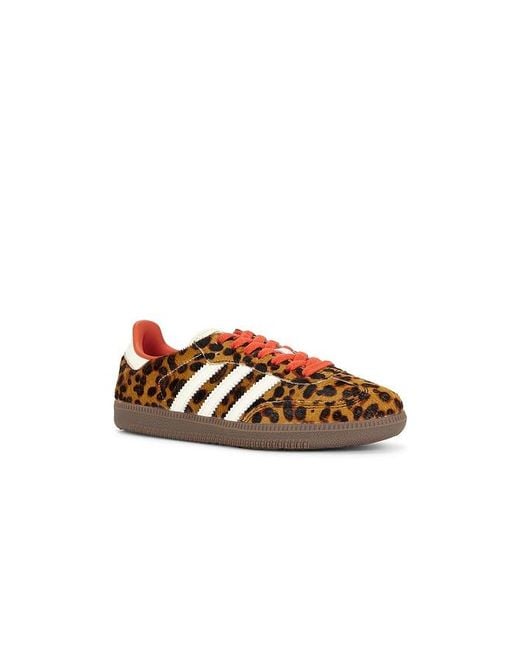 adidas Originals Samba Og Sneaker in Brown | Lyst UK