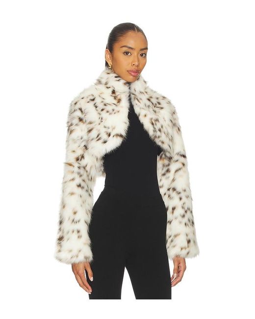 Apparis Odette Snow Leopard Bolero in Black | Lyst UK
