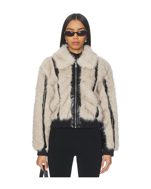 Steve Madden Charmaine Jacket in Blue | Lyst UK