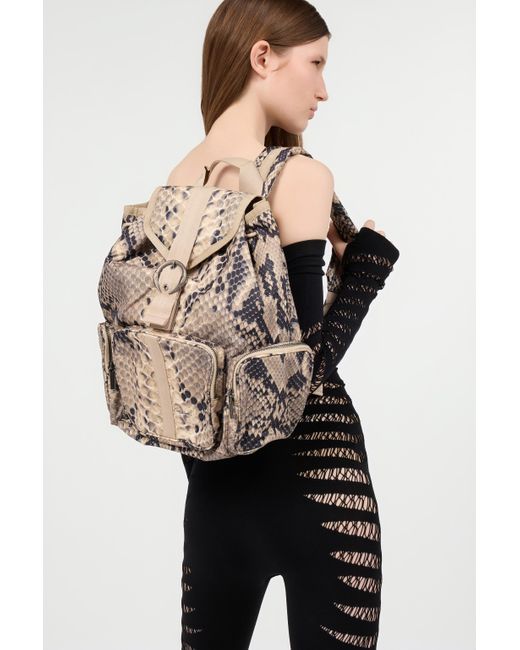Roberto Cavalli Napoli Python Backpack in Grey | Lyst UK