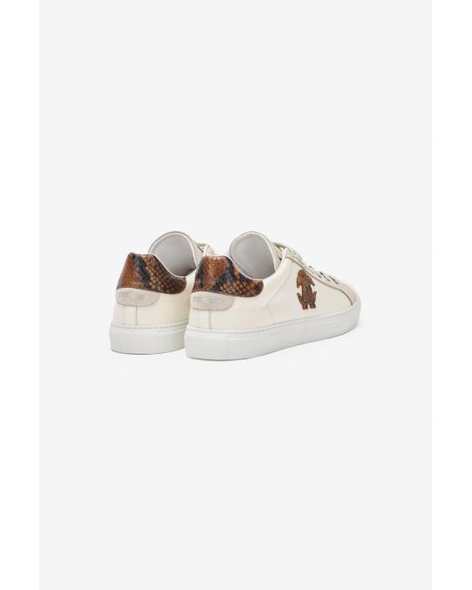 Roberto Cavalli Sneakers With Python Back And Patch for Men | Lyst