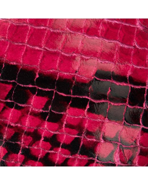 Roberto Cavalli Pumps With Python Print And Mirror Snake Monogram in ...