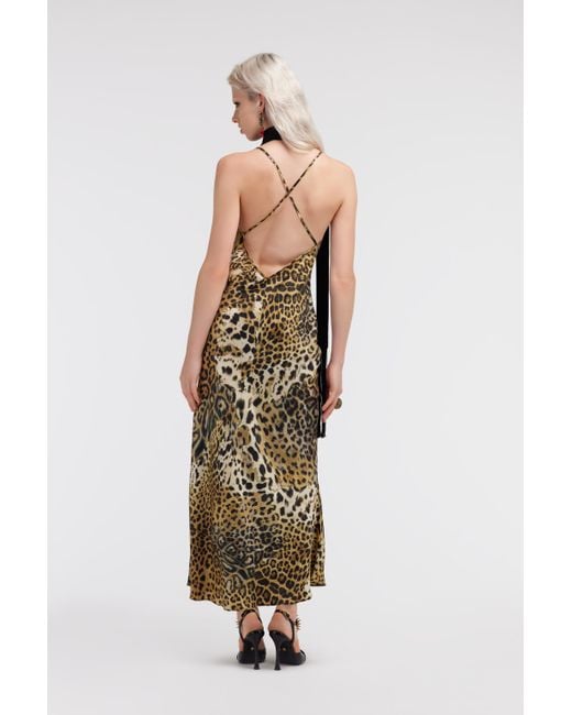 Roberto Cavalli Jaguar Skin Print Lingerie Dress in Metallic | Lyst