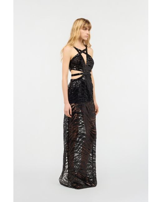 Roberto Cavalli See-Through Dress With Sequined Zebra Pattern in Black ...