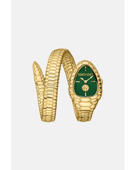 Roberto Cavalli By Franck Muller Signature Snake Watch in Blue | Lyst