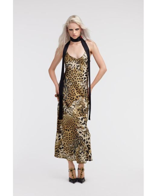 Roberto Cavalli Jaguar Skin Print Lingerie Dress in Metallic | Lyst