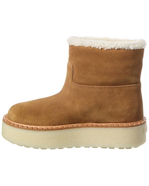 Prada Logo Suede Platform Boot in Brown | Lyst