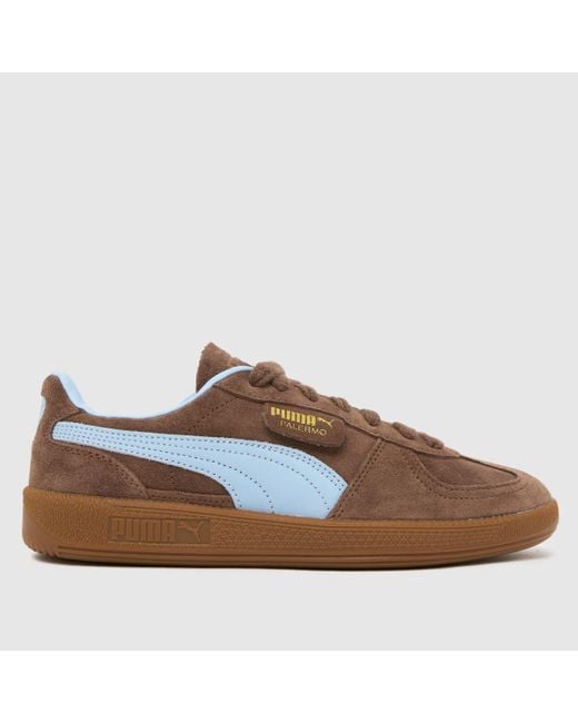 PUMA Palermo Trainers in Brown | Lyst UK