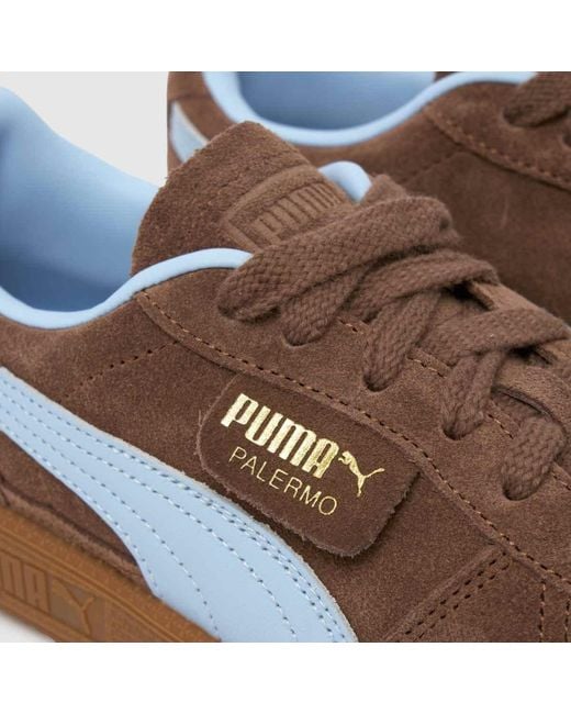PUMA Palermo Trainers in Brown | Lyst UK
