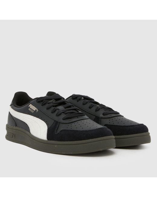 PUMA Indoor Trainers in Black for Men | Lyst UK