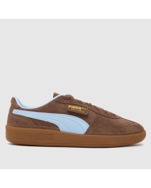 PUMA Palermo Trainers in Brown for Men | Lyst UK