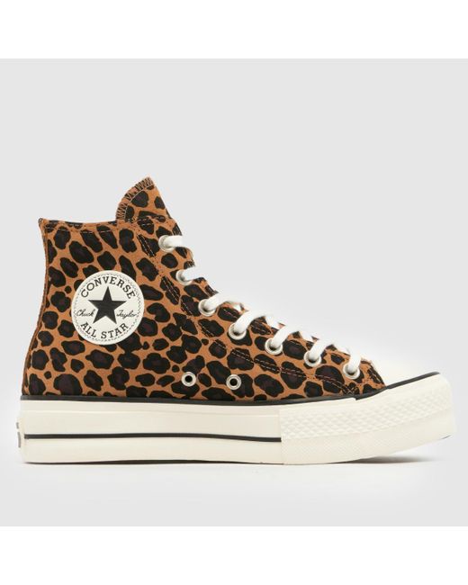 Converse All Star Lift Hi Winterluxe Trainers in Brown | Lyst UK