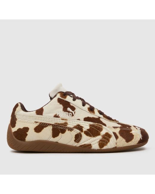 PUMA Speedcat Trainers in Brown | Lyst UK