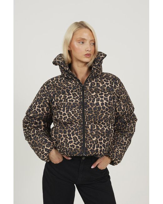 Brave Soul Leopard Print Short Puffer Jacket With Oversized Collar in ...