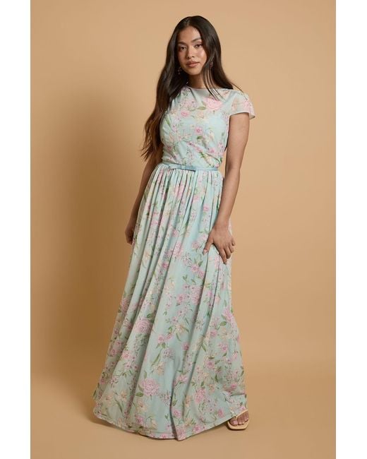 Oasis Petite Cap Sleeve Hydrangea Mesh Maxi Dress in Blue | Lyst UK