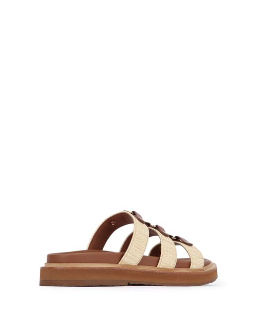 Celine Tippi Slippers in Brown | Lyst