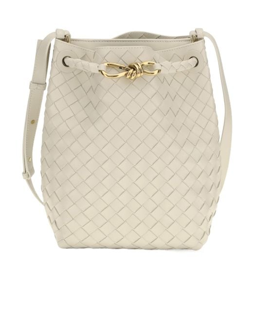 Bottega Veneta Andiamo Small Bucket in Natural | Lyst