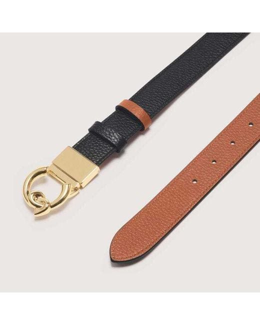 Coccinelle Buckle-Fastened Reversible Belt in Brown | Lyst