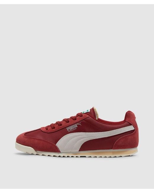 Puma store arizona store