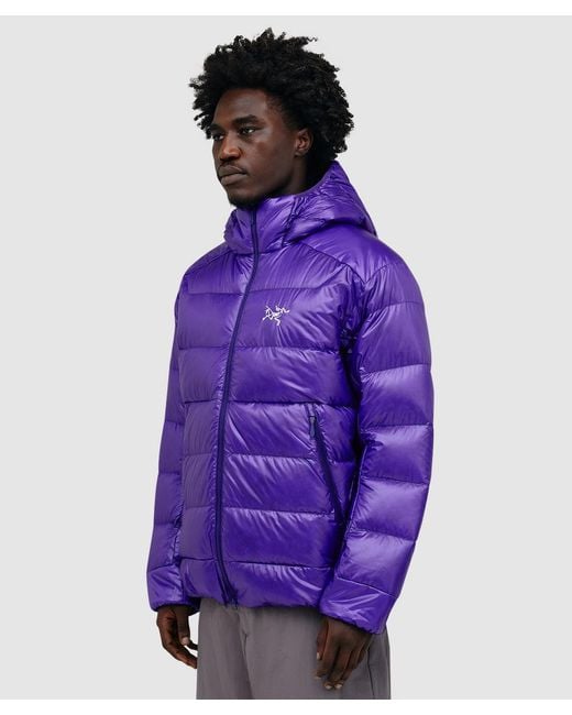 Arc'teryx Cerium Sv Hooded Jacket (Azalea in Purple for Men | Lyst UK