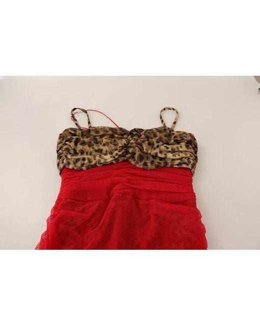 Dolce & Gabbana Leopard Tulle Sheath Midi Dress in Red | Lyst UK
