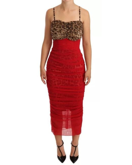Dolce & Gabbana Leopard Tulle Sheath Midi Dress in Red | Lyst UK