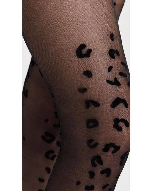 High Heel Jungle Queen Leopard Print Sheer Tights in Black | Lyst