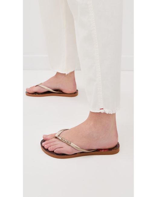 Havaianas Slim Animal Floral Fusion Flip Flops in Black | Lyst