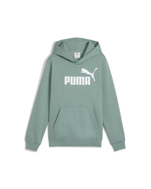 PUMA Essentials No. 1 Logo Fleece Hoodie in Green for Men | Lyst