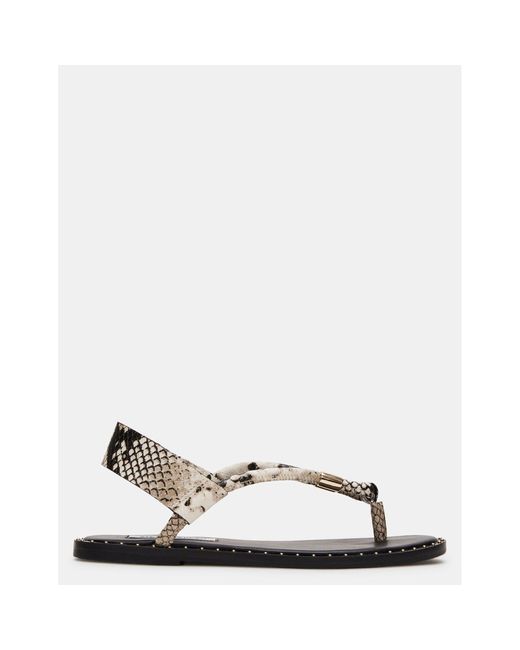 Steve Madden Meduza Snake in White | Lyst