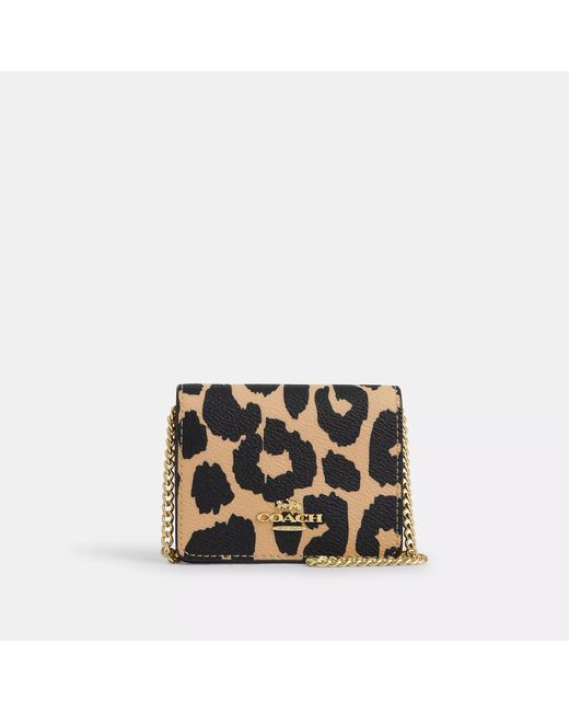 COACH Mini Wallet On A Chain With Leopard Print in Black | Lyst