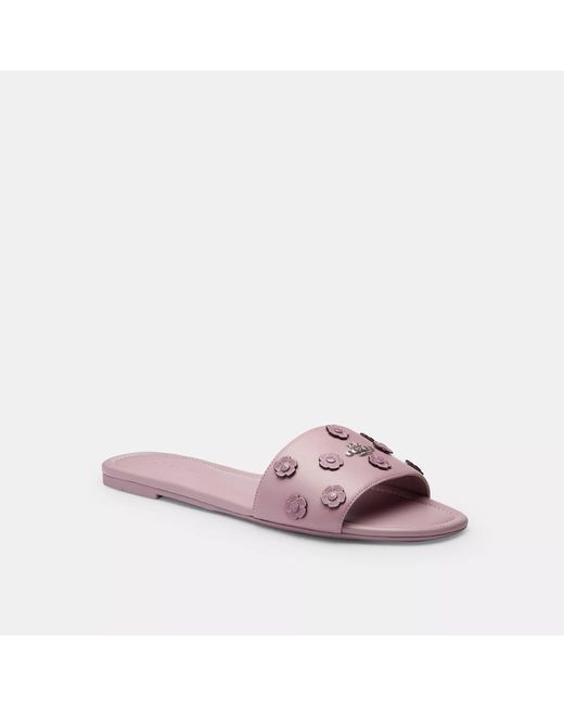 COACH Slide Sandal With Tea Rose in Pink | Lyst