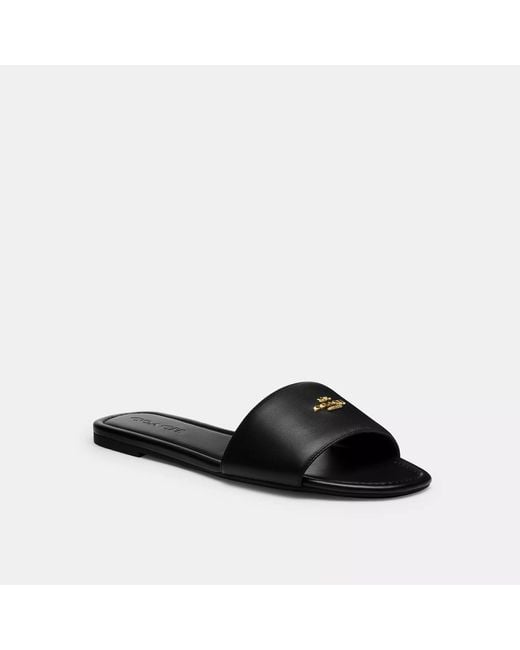 COACH Signature Slide Sandal in Black | Lyst