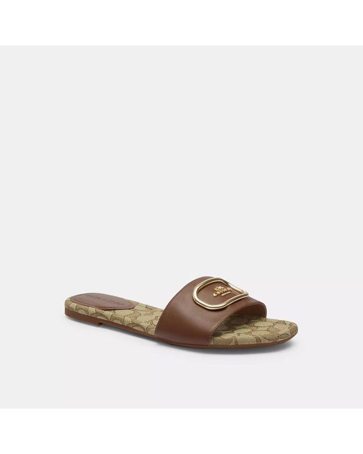 COACH Evy Sandal in Brown | Lyst