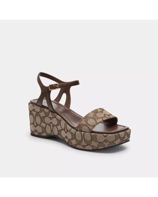 COACH Gale Wedge Sandal in Brown | Lyst