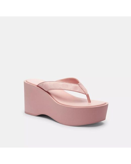 COACH Thong Wedge Sandal in Pink | Lyst