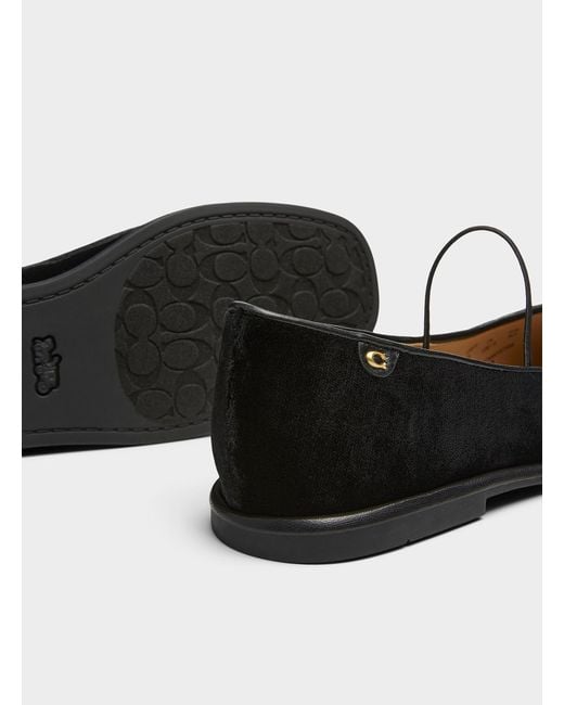 COACH Mary Jane Emilia Velvet Ballet Flats Women in Black | Lyst