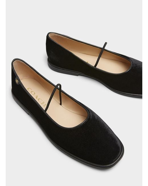 COACH Mary Jane Emilia Velvet Ballet Flats Women in Black | Lyst
