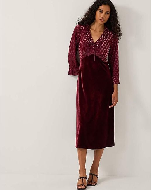 Monsoon Dua Polka Dot Velvet Midi Dress in Red | Lyst UK
