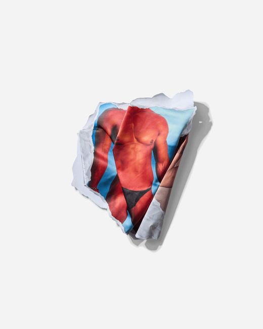 Abra Poster Top in White | Lyst