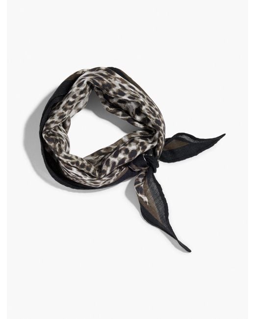 Talbots Swirly Animal Diamond Scarf in Metallic | Lyst UK